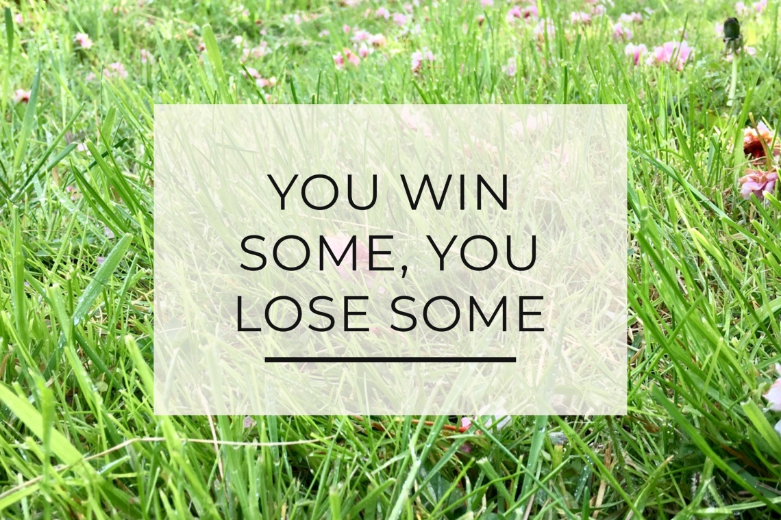You Win Some, You Lose Some – One Girl & Her Cows
