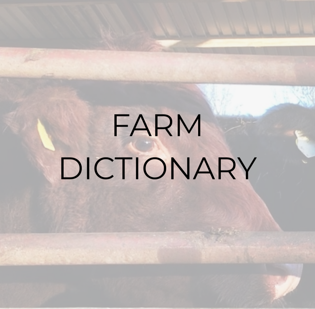 Farm Dictionary – One Girl & Her Cows